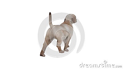 Animated Dog, Animated 3D Moving Model, Rotating, Full HD Stock Footage ...