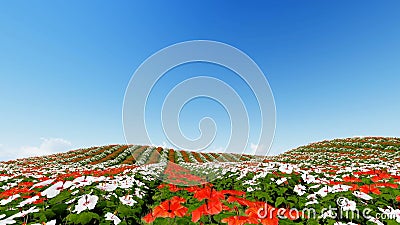 Animated Flower Field 3D Render Stock Video - Video of abstract, blue ...