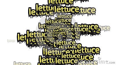Animated Video Scattered with the Words LETTUCE on a White Background ...