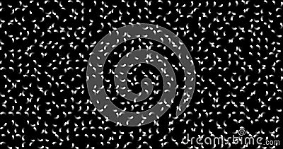 Animated View of Dense White Dots Moving in Circular Motions Over a ...