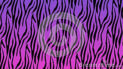 Animation of Black Tiger Stripe Pattern on Pink Background Stock Video ...
