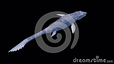 Dinosaur Mosasaurus Underwater Swim and Roar Loop with Alpha Stock ...