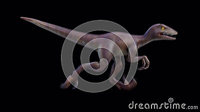 Animation of Dinosaur Velociraptor Run Loop with Alpha and Shadow Stock ...