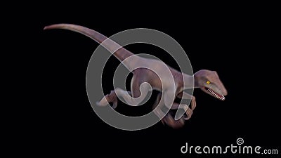 Animation of Dinosaur Velociraptor Run Loop with Alpha and Shadow Stock ...