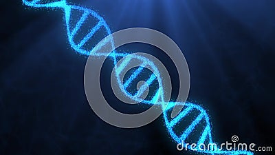 Animation of DNA Construction Stock Footage - Video of cell, helix ...