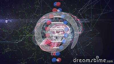 Animation of Dna Structure, Human Brain Rotating on Graphic Interface with Network Connecting ...