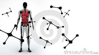 Animation of Falling Molecules Over Human Body Model Stock Video ...