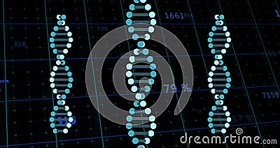 Animation of Numbers and Data Processing and Dna Strands Spinning Stock ...