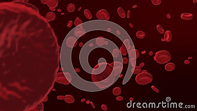 An Animation of Red Blood Cells Floating Past the Camera Stock Video ...
