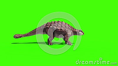Ankylosaurus Dinosaurs Attack Loop Side 3D Animation Green Screen ...