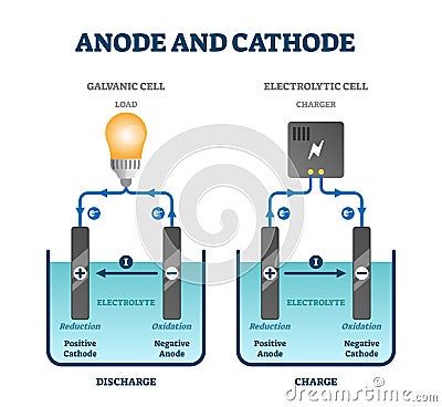 Anode And Cathode Scientific Physics Education Diagram, Vector ...