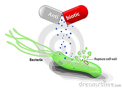 Antibiotic Stock Vector - Image: 55785553