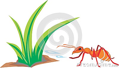 Ants Are Diligent Stock Photo | CartoonDealer.com #91865550