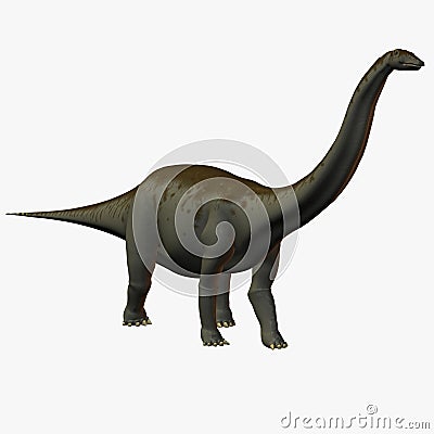 Apatosaurus Royalty Free Stock Images - Image: 783439