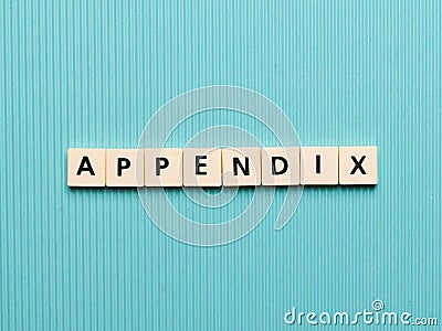 APPENDIX Word Made From Square Letter Tiles Royalty-Free Stock Image ...