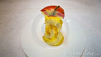 Apple Core is Rotting Fast. Timelapse Stock Footage - Video of natural ...