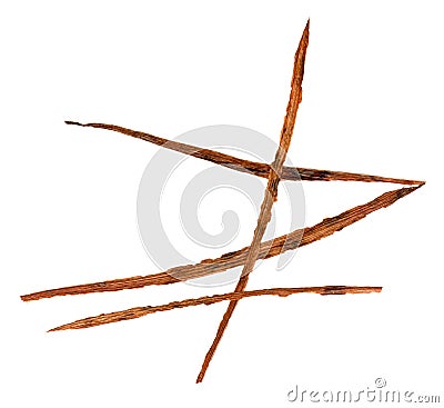 Application Bouquet Of Dry Iris Leaves In A Lattice Form Royalty-Free ...