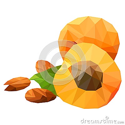 Apricots, Triangulation, On A White Background Low Poly Object Cartoon ...