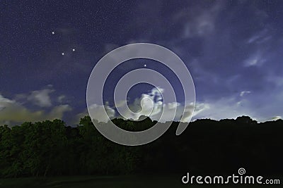 Apus Star Constellation, Night Sky, Cluster Of Stars, Deep Space, Bird ...