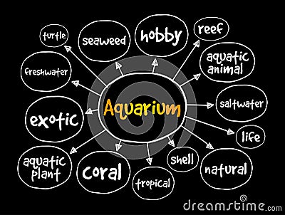 Aquarium Mind Map, Concept For Presentations And Reports Royalty-Free ...