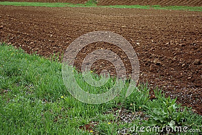 Arable Land - Stock Image - Everypixel