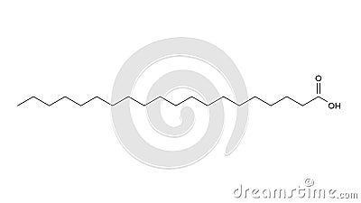 Arachidic Acid Molecule, Structural Chemical Formula, Ball-and-stick ...