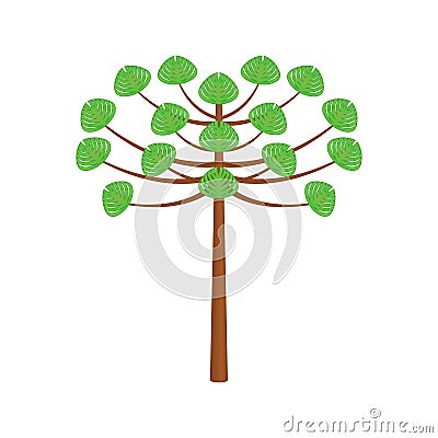Araucaria Tree Design Vector Flat Isolated On White Background ...
