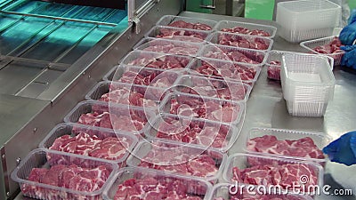 Arbeitnehmer, Die in Einer Fleischfabrik Gehacktes Fleisch Verpacken ...