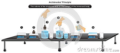 Archimedes Principle Experiment Infographic Diagram Cartoon Vector ...