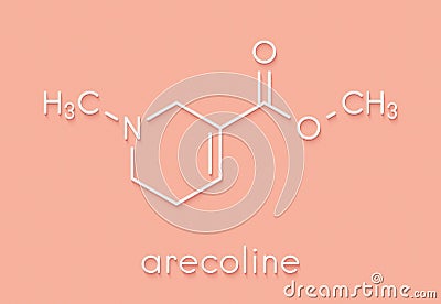 Arecoline Areca Nut Stimulant Compound, Chemical Structure. Skeletal ...