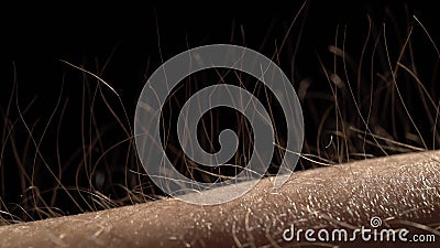Arm Hair Rising, Emotional Feeling Stock Footage - Video of natural ...