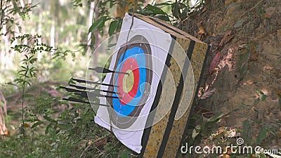 Arrow hits the target stock footage. Video of accuracy - 109939434