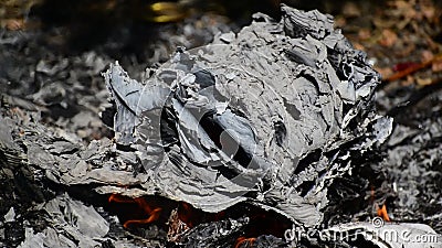 Ash from burnt paper stock footage. Video of memories - 58987018