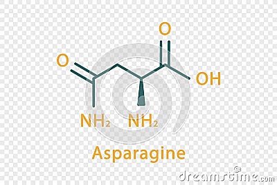 Asparagine Chemical Formula. Asparagine Structural Chemical Formula ...