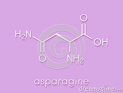 Asparagine L-asparagine, Asn, N Amino Acid Molecule. Skeletal Formula ...
