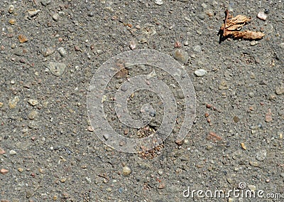 Asphalt Sidewalk Texture. Pothole In The Road. Leaf Stock Photo ...