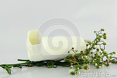 Asthma Inhaler And Flower Of Grass Stock Photo | CartoonDealer.com ...