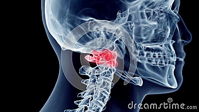 The atlas bone stock video. Video of blue, health, biology - 140294061