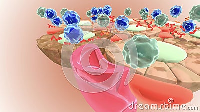 Autoimmune Attack on Thyroid Cells Stock Video - Video of thyroid ...
