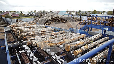 Automated Log Sorting Line. Wheel Loader and Automatic Sorting Logs ...