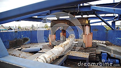 Automated Log Sorting Line. Wheel Loader and Automatic Sorting Logs ...
