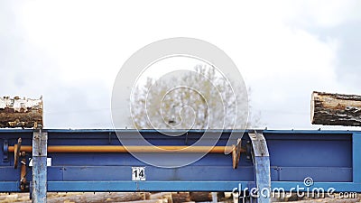 Automated Log Sorting Line. Wheel Loader and Automatic Sorting Logs ...