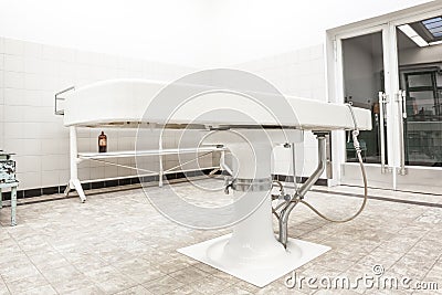 Autopsy Tables In Morgue Royalty-Free Stock Image | CartoonDealer.com ...