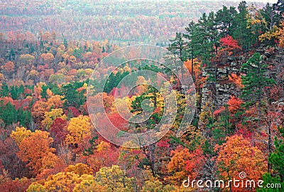 Autumn Color In The Ozarks Royalty Free Stock Photos - Image: 972978