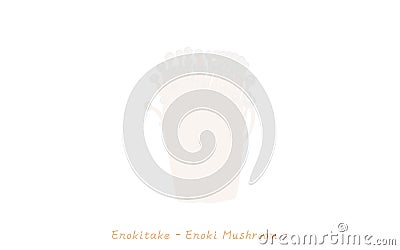 Autumn Entree, A Simple Illustration Of Mushrooms Enokitake. Cartoon ...