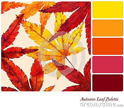 Fashion Color Trend Autumn Winter 2020-2021. Palette Fashion Colors ...