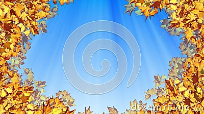 Autumn Leaves stock video. Video of yellow, loop, autumn - 45681329