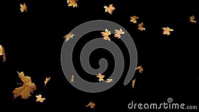 Autumn Leaves Falling with Alpha Channel Loop Clip. Can Use this Clip ...