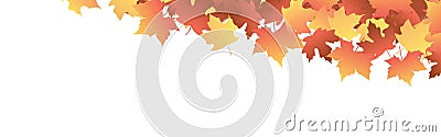 Autumn Leaves [maple] Header Stock Photo - Image: 6342810