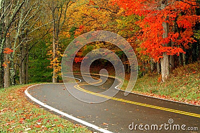 Autumn Roads Stock Photo - Image: 6471640